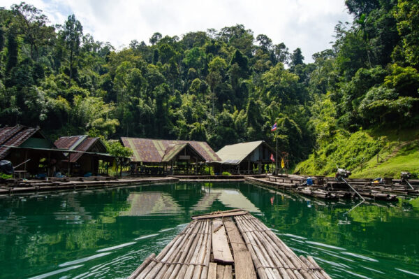 Best Time to Visit Khao Sok: A Season by Season Guide